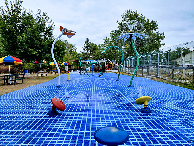 The Riverside Discovery Center's splash pad proves affordable fun doesn't need to make a big splash in your monthly budget.