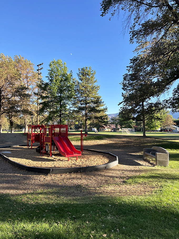 Community parks where kids play without performing for social media? They still exist, and Susanville's got them.