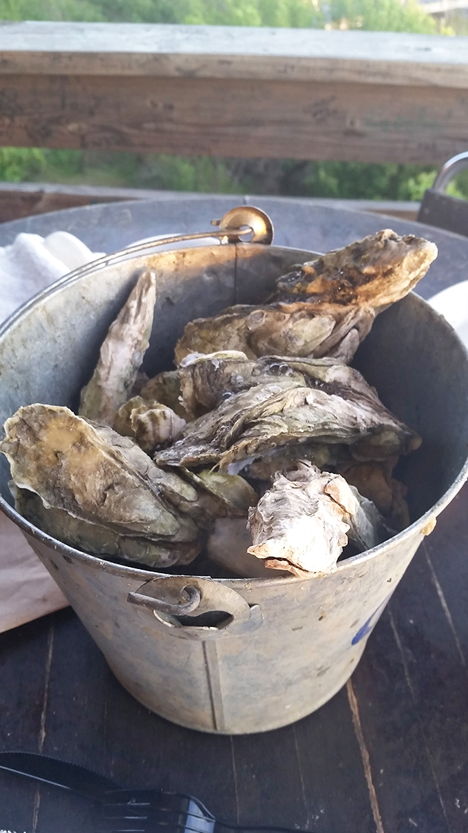 These oysters aren't just served—they're presented with a side of maritime history. Straight from the nearby waters to your bucket.