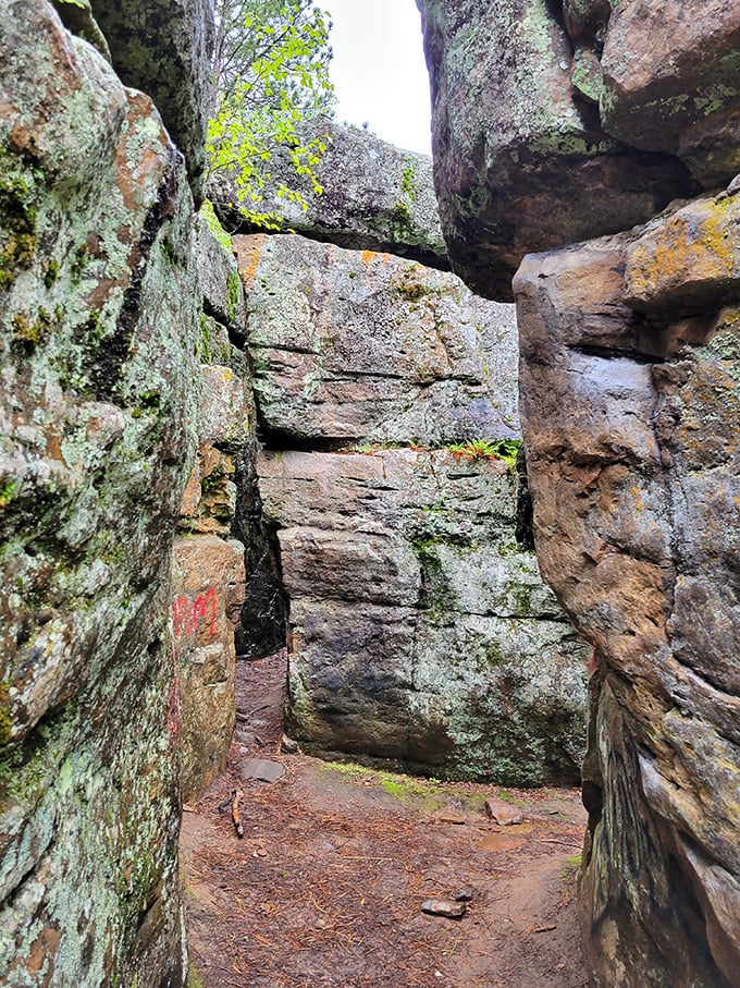 Nature carved its own masterpiece in the Black Hills. These ancient rock formations make your garden path look decidedly unambitious.