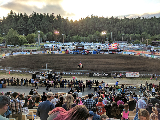 The Fortuna Rodeo transforms this quiet town into a western spectacle each July, drawing crowds from across the region.