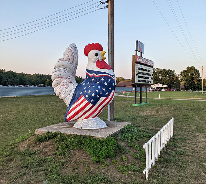 This proud rooster stands guard, though he's surprisingly quiet during the scary movie scenes.
