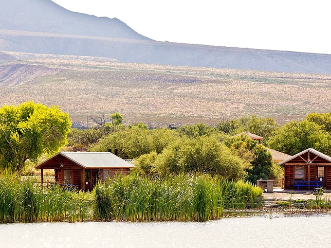 Roper Lake's rustic cabins might be the best real estate deal in Arizona—million-dollar views without the millionaire's price tag.