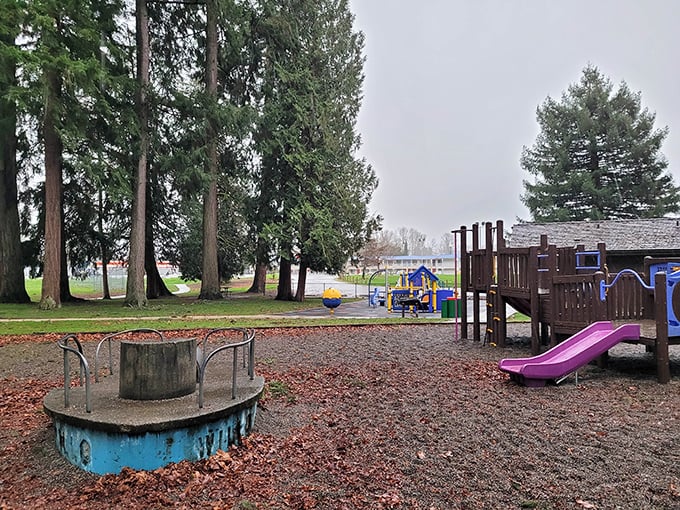 Rotary Riverside Park offers the kind of simple playground pleasures that remind us childhood fun doesn't need Wi-Fi or batteries—just imagination and fresh air.