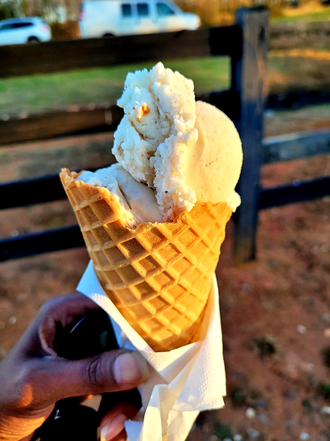 This isn't just ice cream; it's a spiritual experience with a waffle cone communion cup. Salted caramel that makes you question all other desserts.