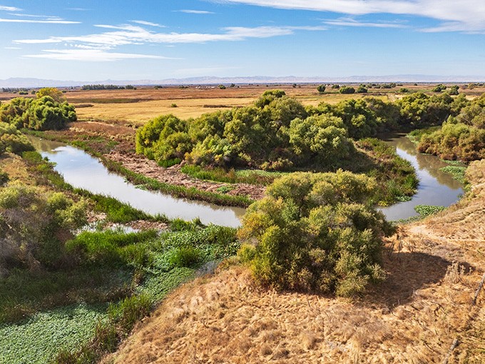 Nature puts on a free show at the nearby wetlands, where meandering waterways create a sanctuary for wildlife and budget-conscious bird watchers alike.