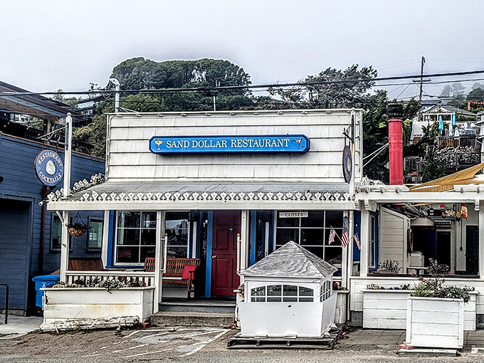 The Sand Dollar Restaurant wears its coastal charm like a favorite sweater—familiar, comforting, and exactly what you want after a beach day.
