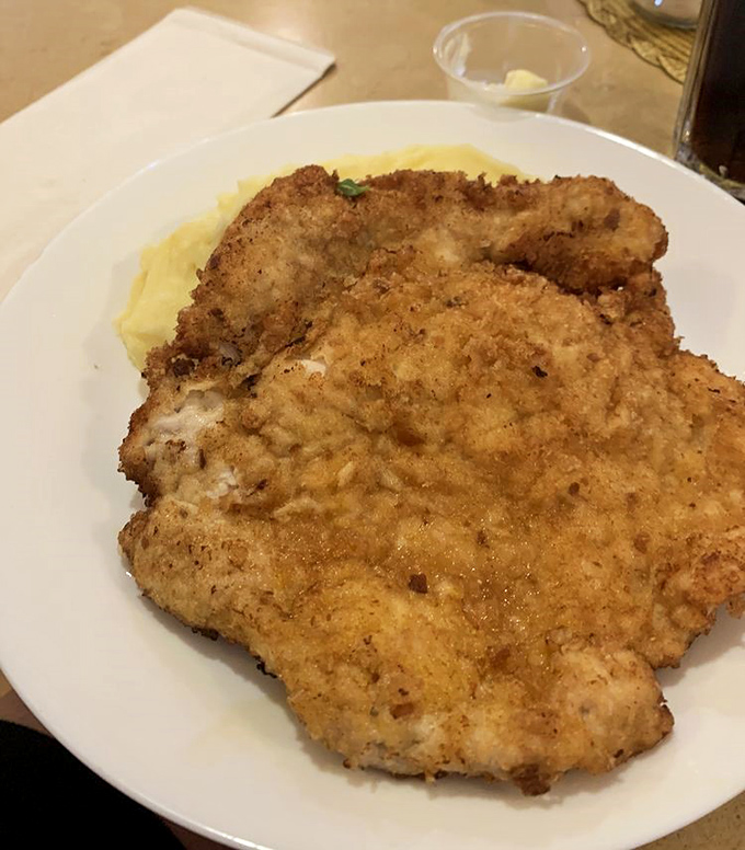 Golden-crusted schnitzel that could make even your cardiologist consider a cheat day &ndash; just this once.