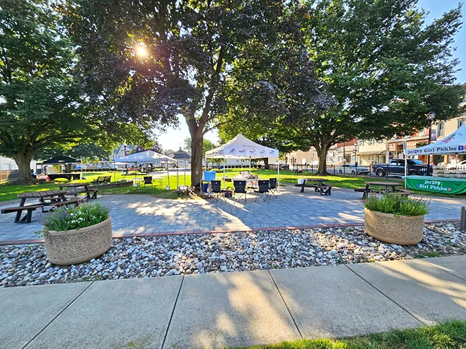 Shappell Park's inviting benches and shaded pathways offer the perfect spot to enjoy an ice cream cone or judge other people's dogs.