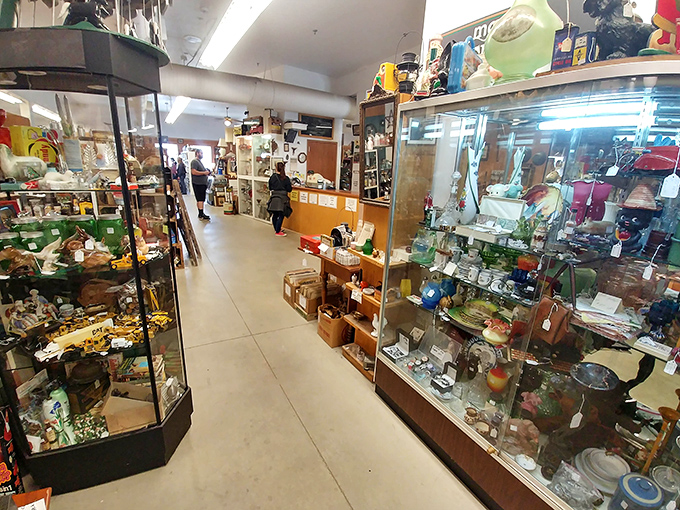 Treasure hunters in their natural habitat, scanning display cases with the focused concentration of archaeologists who've traded desert digs for air-conditioned antiquing.