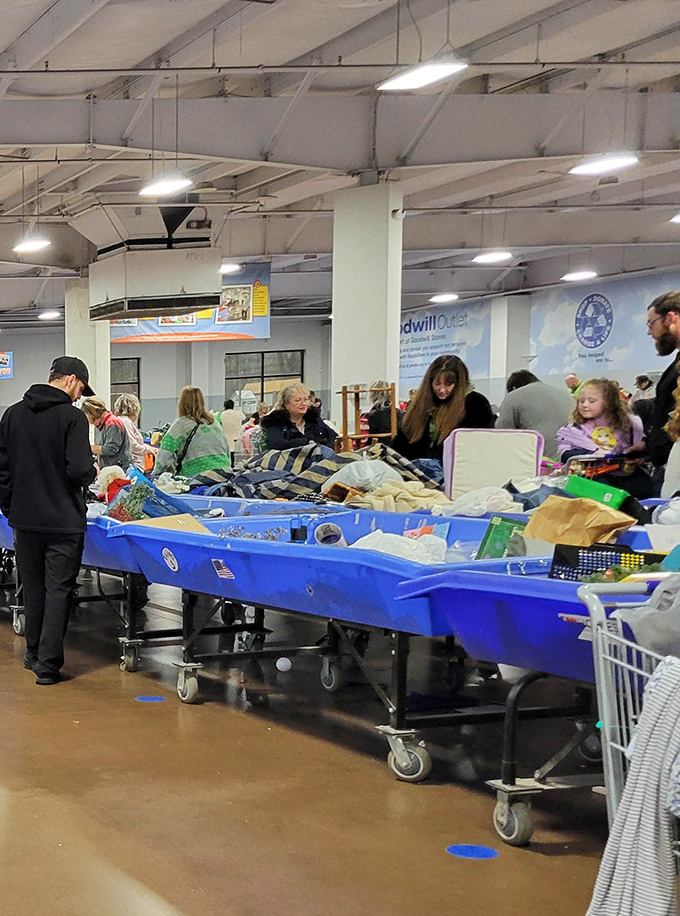 The gentle art of bin diving requires focus, patience, and occasionally, quick reflexes. Veterans know: the good stuff goes fast!