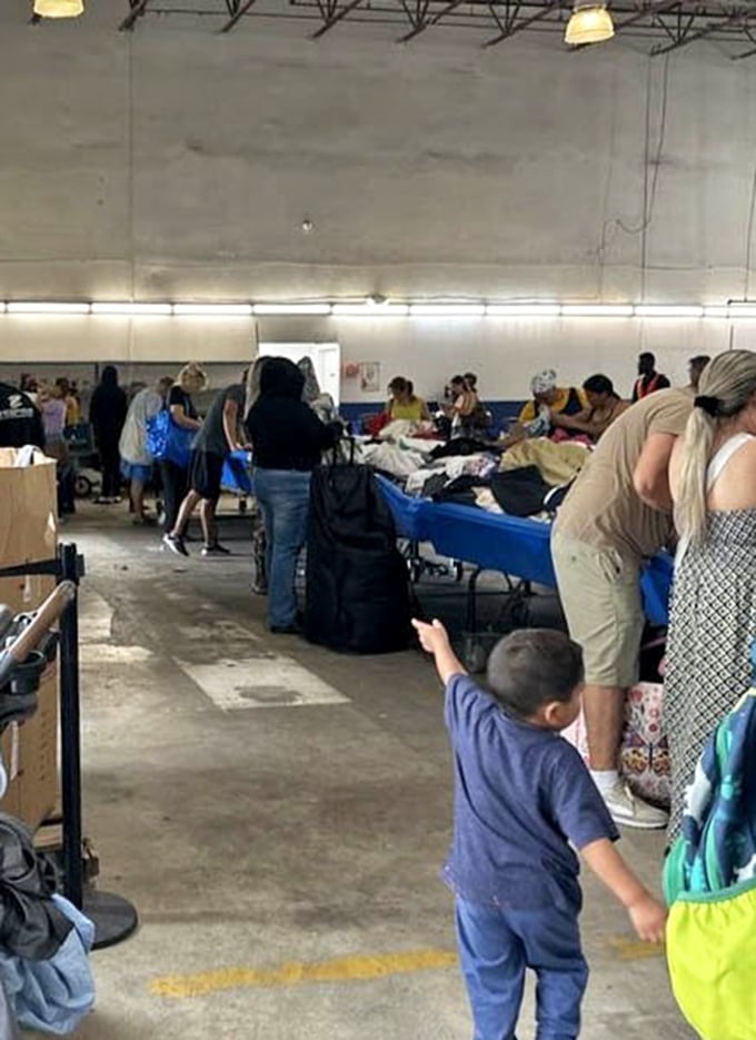 Organized chaos at its finest. Shoppers dive into blue bins like prospectors panning for gold, each hoping to unearth that perfect find.