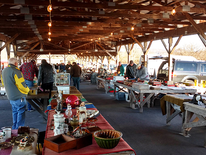 The covered outdoor pavilion buzzes with early birds catching vintage worms, where serious collectors know dawn brings the best discoveries.