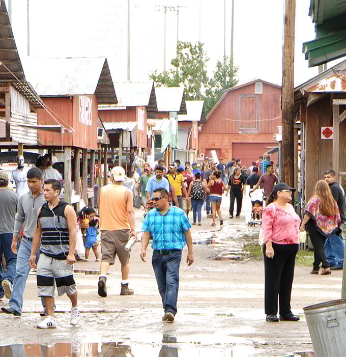 The real Florida experience happens in these rustic aisles, where strangers become neighbors united in the universal language of bargain hunting.