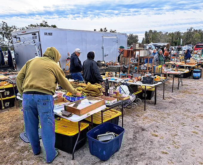 Early birds catch the deals at Webster's outdoor sections, where serious collectors arrive bundled against the morning chill, coffee in hand.