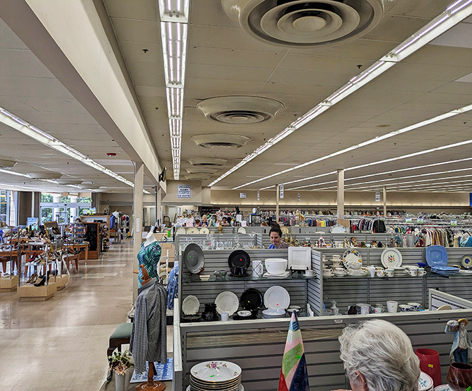 The housewares section gleams with potential, where yesterday's china and glassware await new tables and new stories.