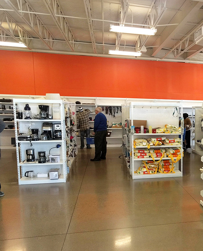 Coffee makers line the shelves like soldiers at attention, waiting for their chance to brew again in someone's morning routine.