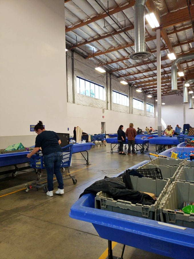 Saturday morning shoppers in their natural habitat, armed with carts and the thrill of the hunt.