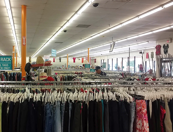 Fellow treasure hunters navigate the labyrinth of possibilities, each cart telling a different story of discovery and potential.