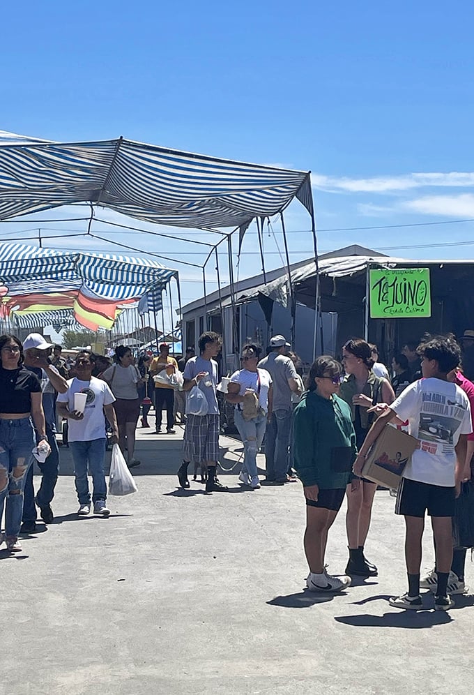 Weekend crowds navigate the market's arteries, carrying plastic bags that grow heavier with each irresistible find.
