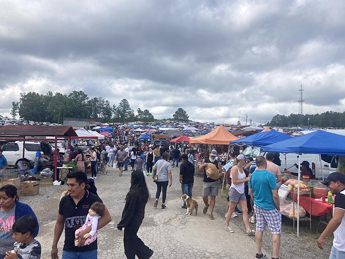 The crowd ebbs and flows like a tide of curiosity, each person drawn by the possibility that today might be the day they find that perfect something.