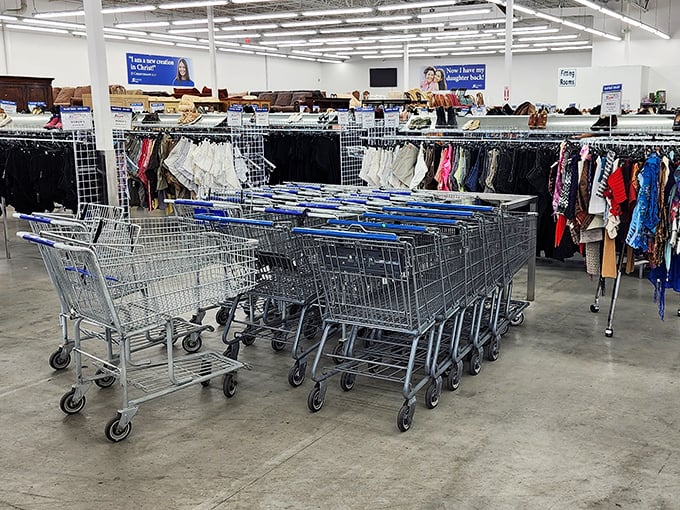 The shopping cart brigade stands ready for action. Choose wisely&mdash;that small cart might seem practical until you find that perfect lamp, dress, and unexpected poker table.