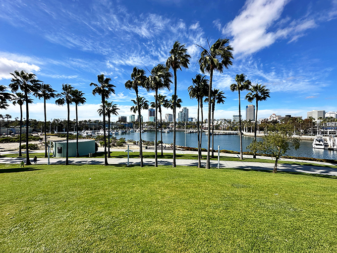 Palm trees standing at attention like they're auditioning for a California tourism poster &ndash; and honestly, they'd get the job.