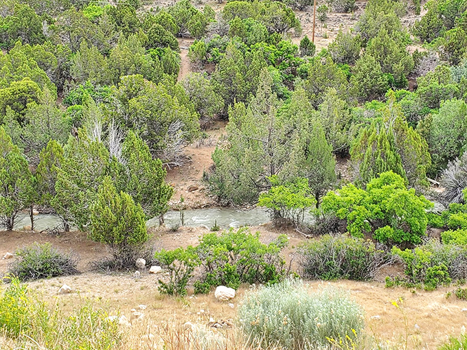 A hidden creek meanders through juniper and sage, whispering secrets only the wildlife understands. Nature's version of a back-alley shortcut.