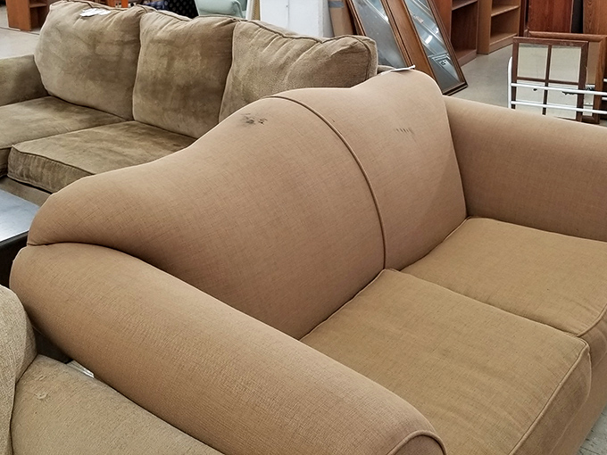 These gently-loved sofas aren't just furniture &ndash; they're future nap stations and family movie nights waiting to happen.