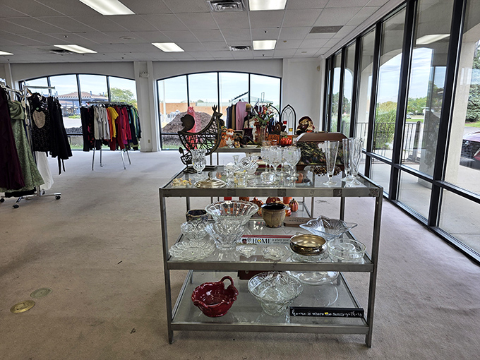 Crystal and collectibles gleam under the lights, each piece waiting for its second act in a new home. Yesterday's treasures becoming tomorrow's conversation pieces.