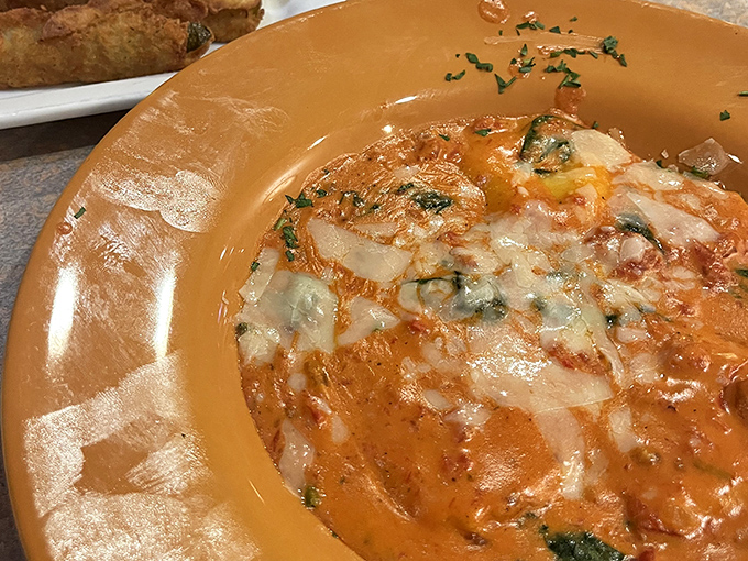 When tomato sauce meets melted cheese in a warm ceramic bowl, magic happens. Comfort food that hugs you from the inside out.