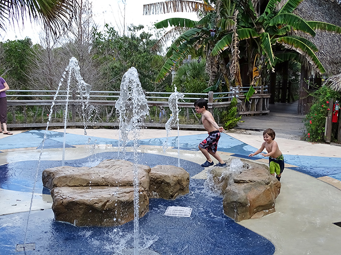 Childhood joy meets botanical education! The splash pad area proves gardens aren't just for quiet contemplation&mdash;they're for creating family memories that splash and sparkle.