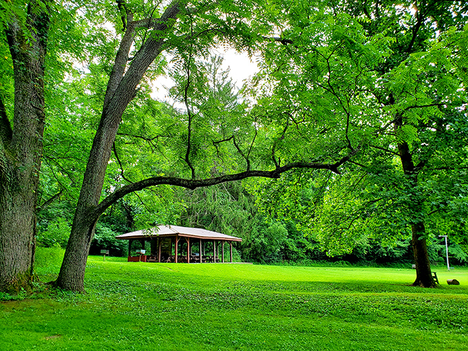 Mother Nature's living room, complete with emerald carpet and leafy ceiling. The pavilion serves as her coffee table for picnics.
