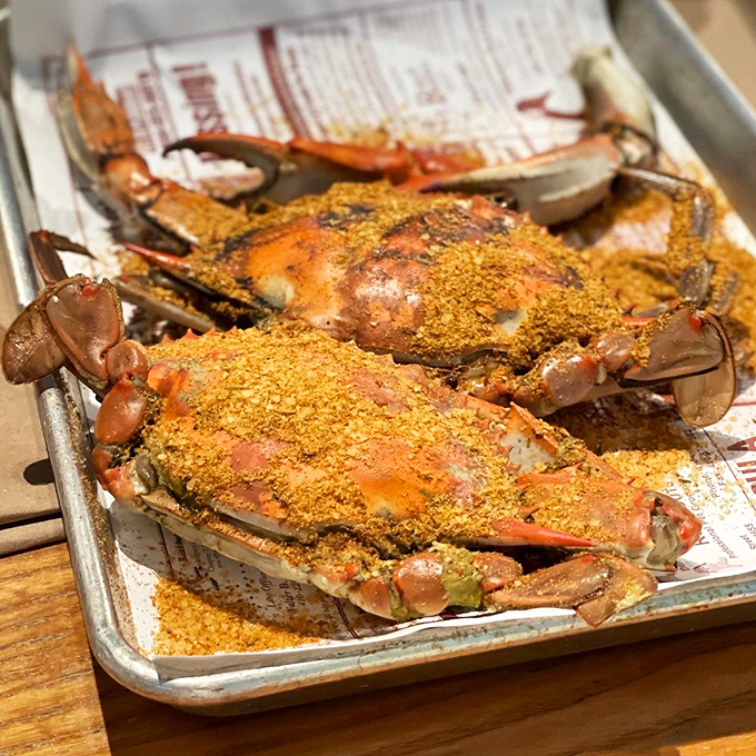 Old Bay-dusted beauties ready for their close-up – and your mallet, knife, and determination.