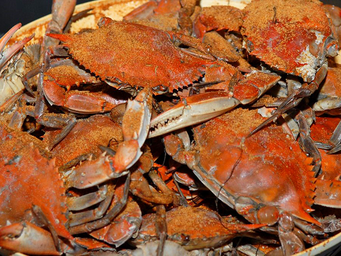 Maryland's famous steamed crabs&mdash;where the joy of the meal is measured equally in flavor and the therapeutic satisfaction of wielding a mallet.