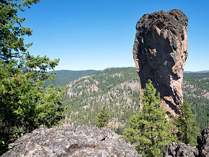 Steins Pillar rises from the forest like nature's own monument to geological patience. Worth every step of the hike.