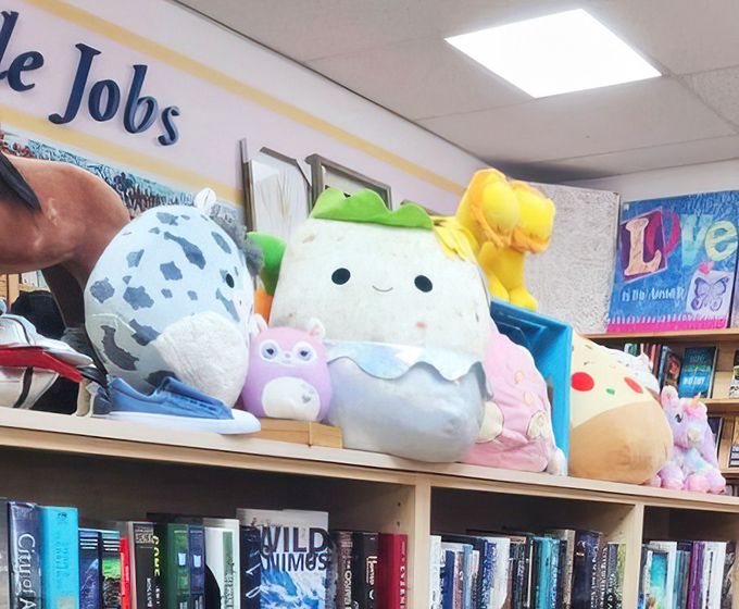 Plush companions waiting for their second chance at love &ndash; that smiling avocado might just be your new best friend.