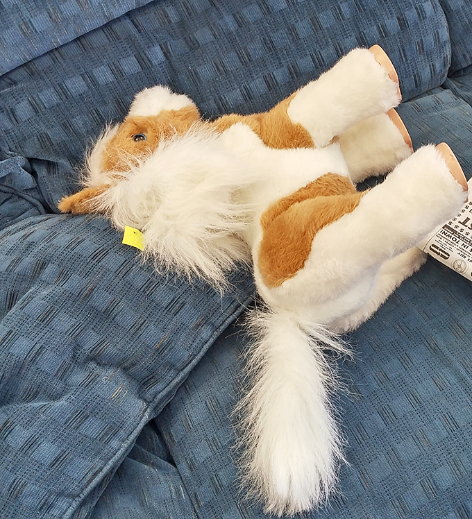 This fluffy stuffed pup looks ready to trot home with someone who appreciates unconditional plush companionship and floppy ears.