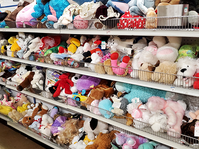 The stuffed animal section: where childhood memories are stacked three shelves high and every fuzzy friend is hoping for a second chance at being loved.