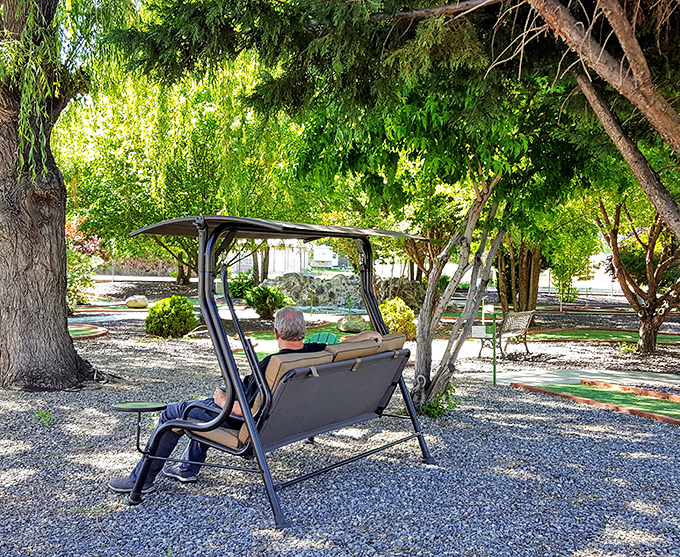 Sometimes paradise is as simple as a shaded swing in a quiet park, where time slows down and the only notification you'll get is from nature itself.