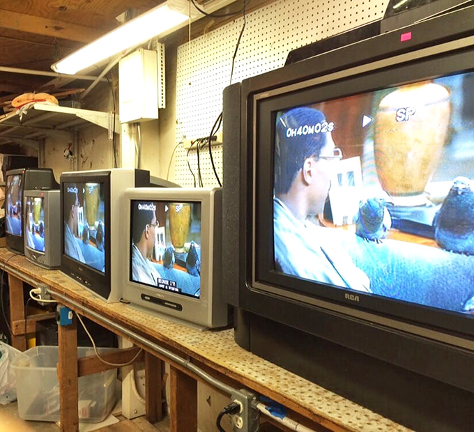 Television time warp! These cathode-ray relics from the pre-flatscreen era still work&mdash;probably outlasting whatever "smart" TV you just bought.