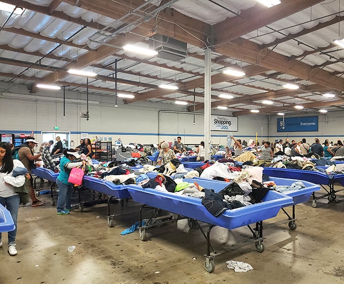The famous blue bins&mdash;where dedicated thrifters converge like prospectors during the Gold Rush, sifting for denim and designer diamonds.