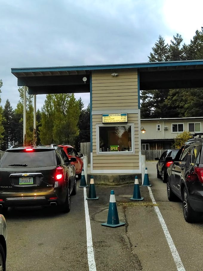 The ticket booth&mdash;that magical threshold where everyday life transforms into an evening of big-screen adventures under Washington's starry canopy.