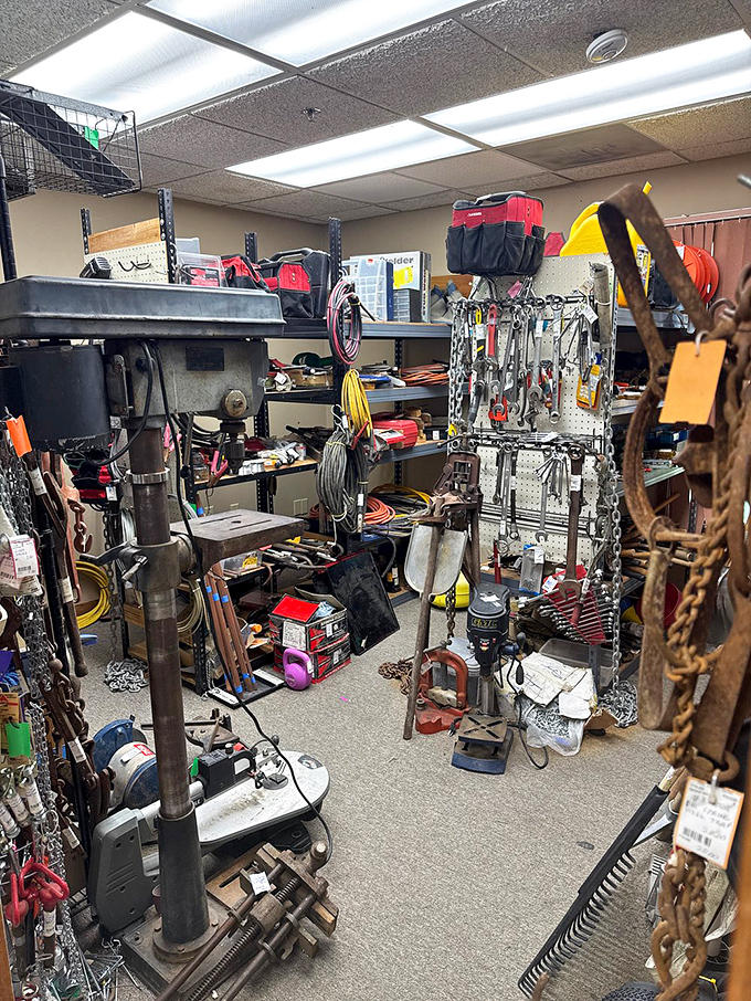 The tool section: where your grandfather's workshop has been meticulously preserved and priced for the next generation of tinkerers.