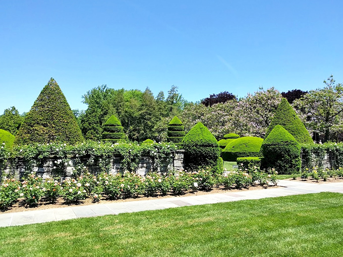 Geometry class never looked this good. These perfectly manicured topiaries prove that sometimes the most satisfying relationships are between humans and hedge trimmers.