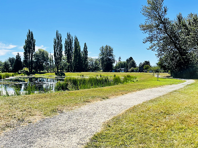 This tranquil path around a pond feels like the opening scene of a nature documentary, minus the British narrator explaining what the ducks are thinking.