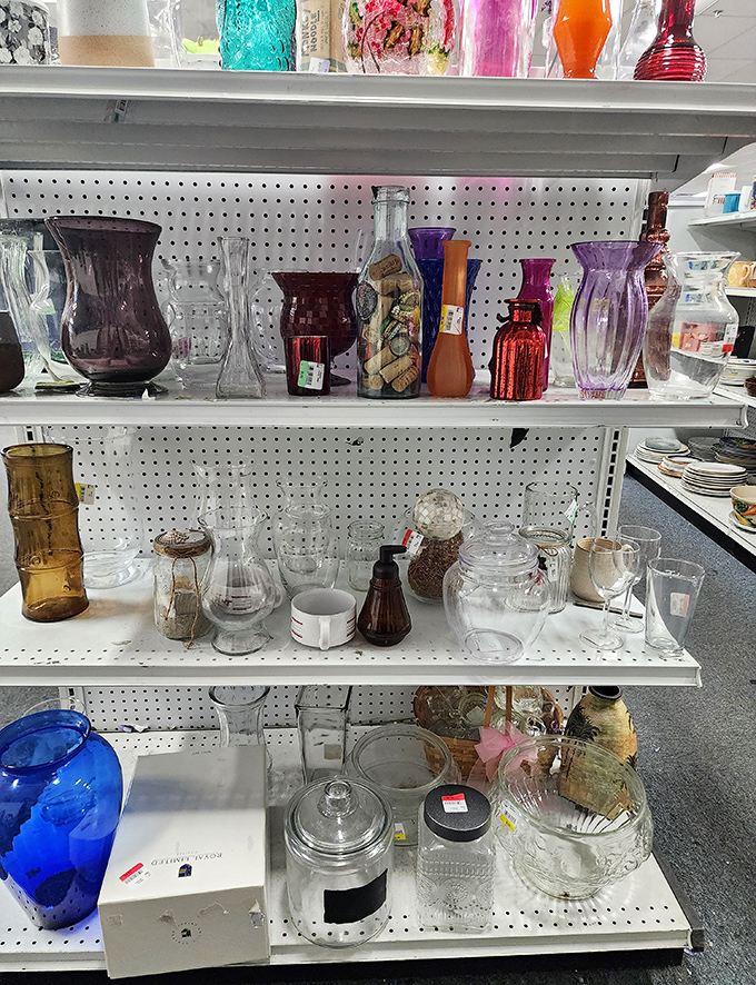 A glass menagerie that would make Tennessee Williams proud&mdash;vases in every color and shape imaginable, from elegant crystal to funky retro designs.