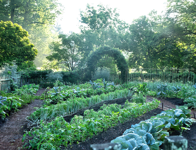 The vegetable garden proves that Brussels sprouts can be beautiful &ndash; though they still taste like Brussels sprouts.