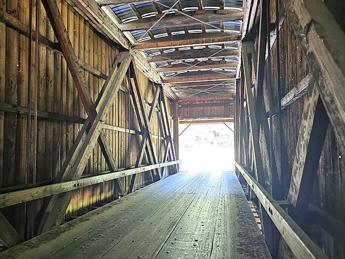 Light filters through aged timber, creating nature's own light show. The bridge frames the rural landscape like a living postcard.