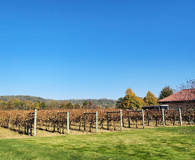 Villa Bellezza's vineyards prove Wisconsin isn't just for cheese lovers &ndash; these sun-drenched rows produce wines worthy of their Mediterranean-inspired setting.